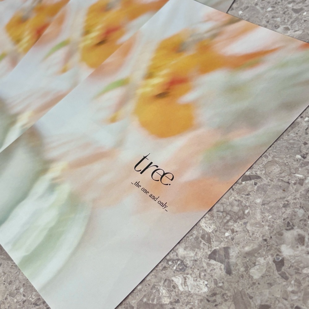 lisa design｜リサデザイン｜ブランドの価値を魅せるWeb制作 | ビジネスの“本質”を映すWebデザイン。女性起業家のためのホーム ...